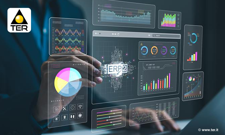 SAM ERP2 Goes Live: A Project Supporting Industrial Processes - TER ...